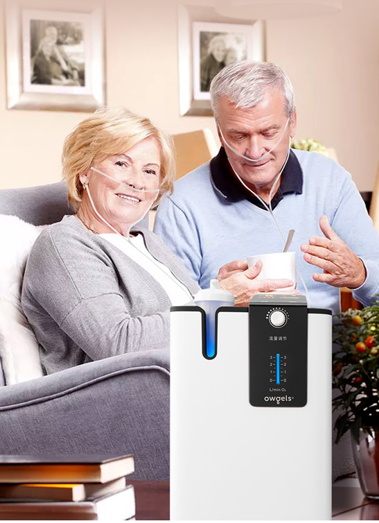 Healthcare Hospital 5 Lpm Oxygen Concentrator With Atomizer Accessories